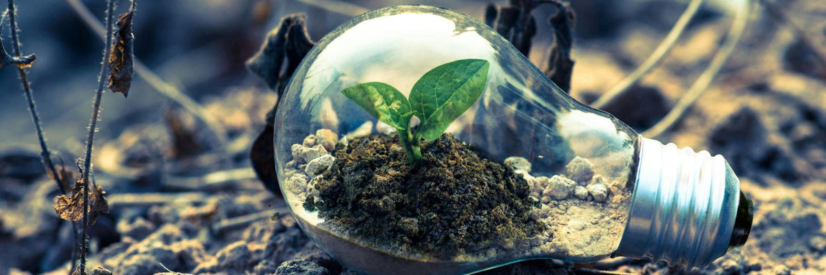 7 Easy Sustainable Business Practices for Candle Brands – NI Candle ...